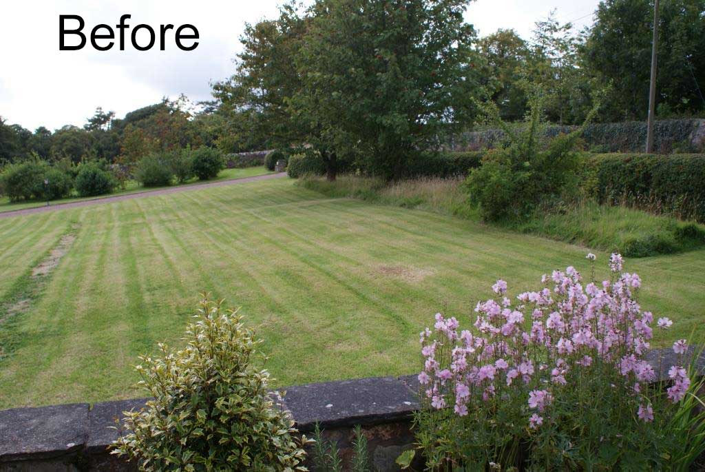 Blebo Craigs - Creating Eden